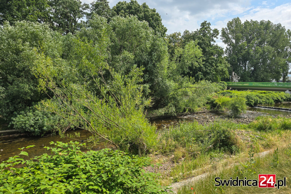Bystrzyca doczeka się uprzątnięcia po wrześniowej powodzi? - Swidnica24 ...