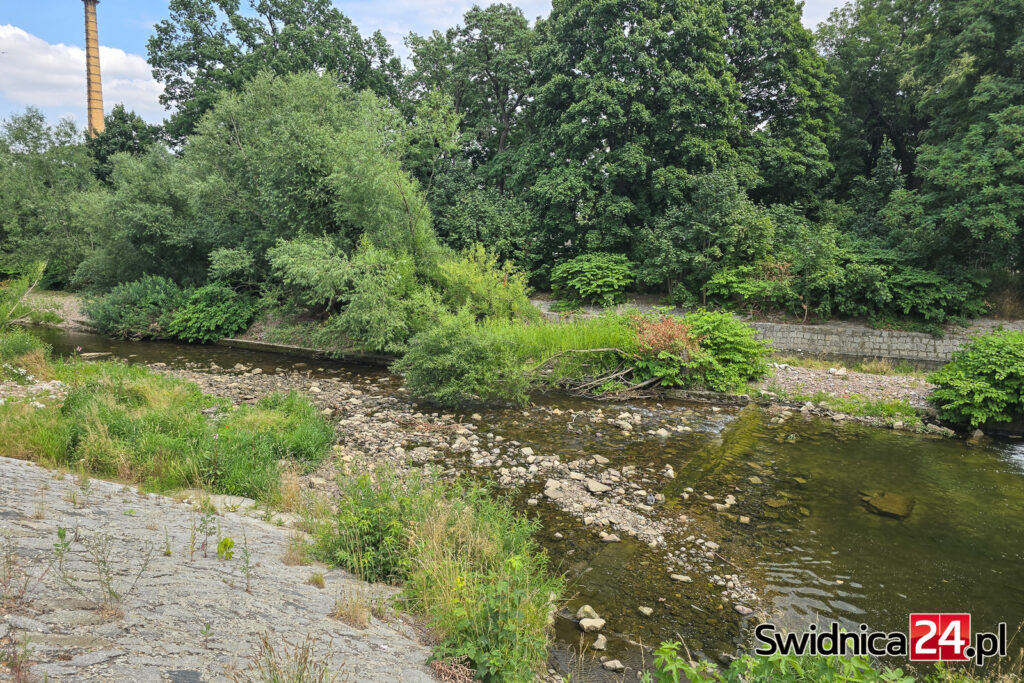 Bystrzyca doczeka się uprzątnięcia po wrześniowej powodzi? - Swidnica24 ...